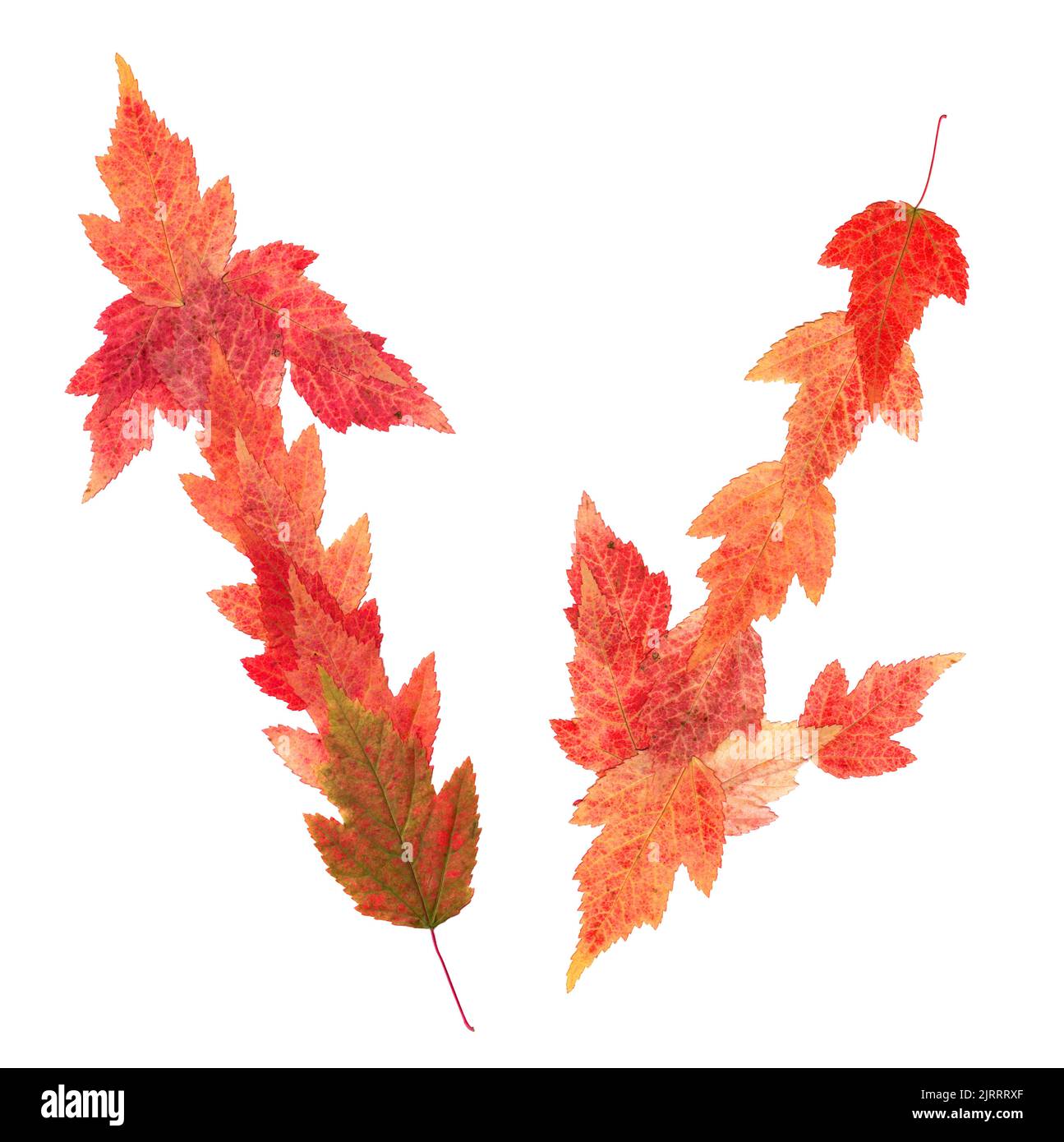 Isolated line multicolor arrows, collection of elements application of ...