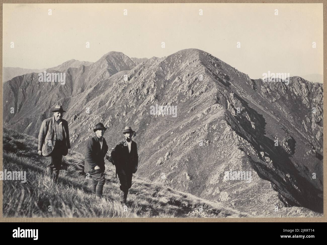 Pukemoremore and mt walker from the summit of mt hi-res stock ...