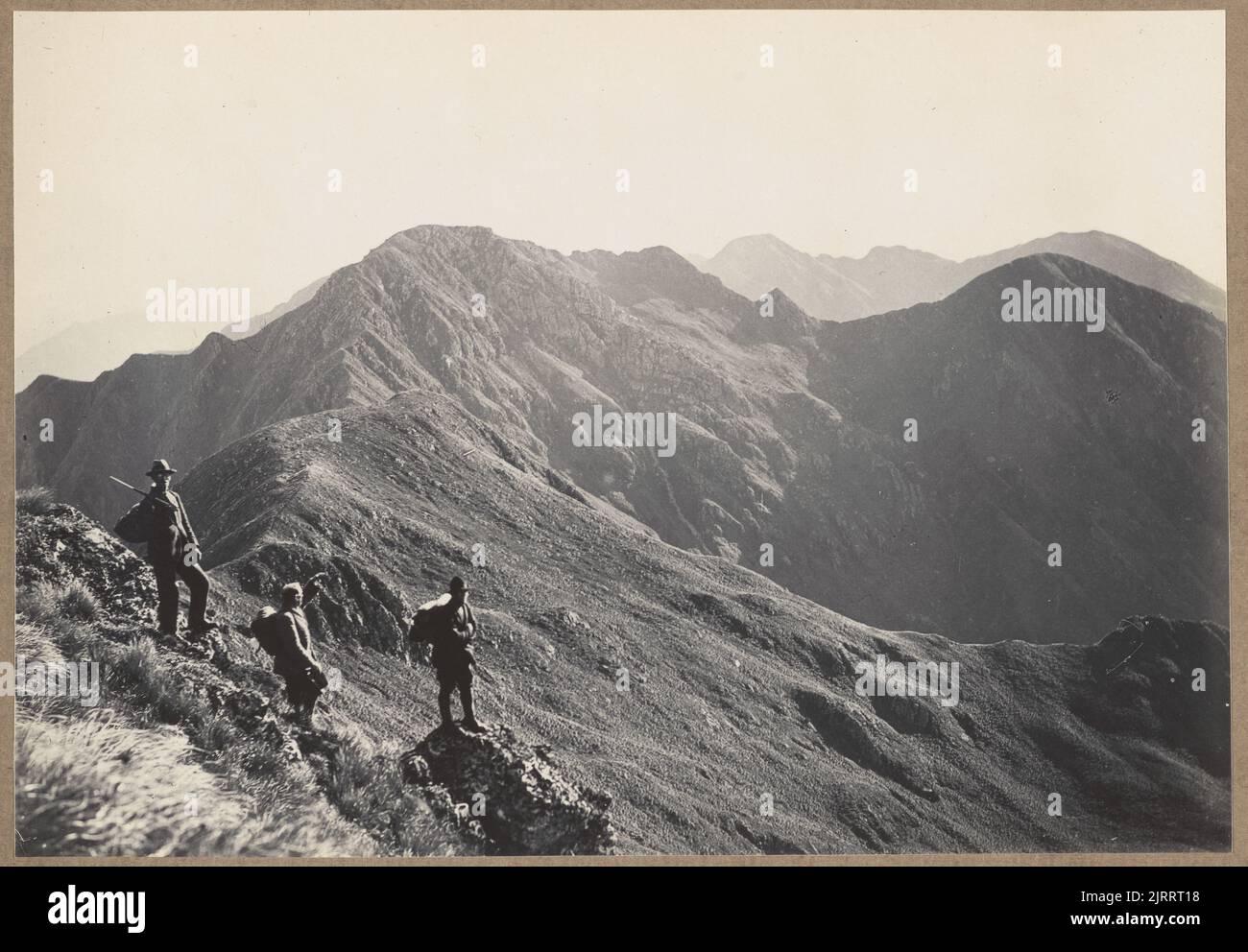 Pukemoremore hi-res stock photography and images - Alamy