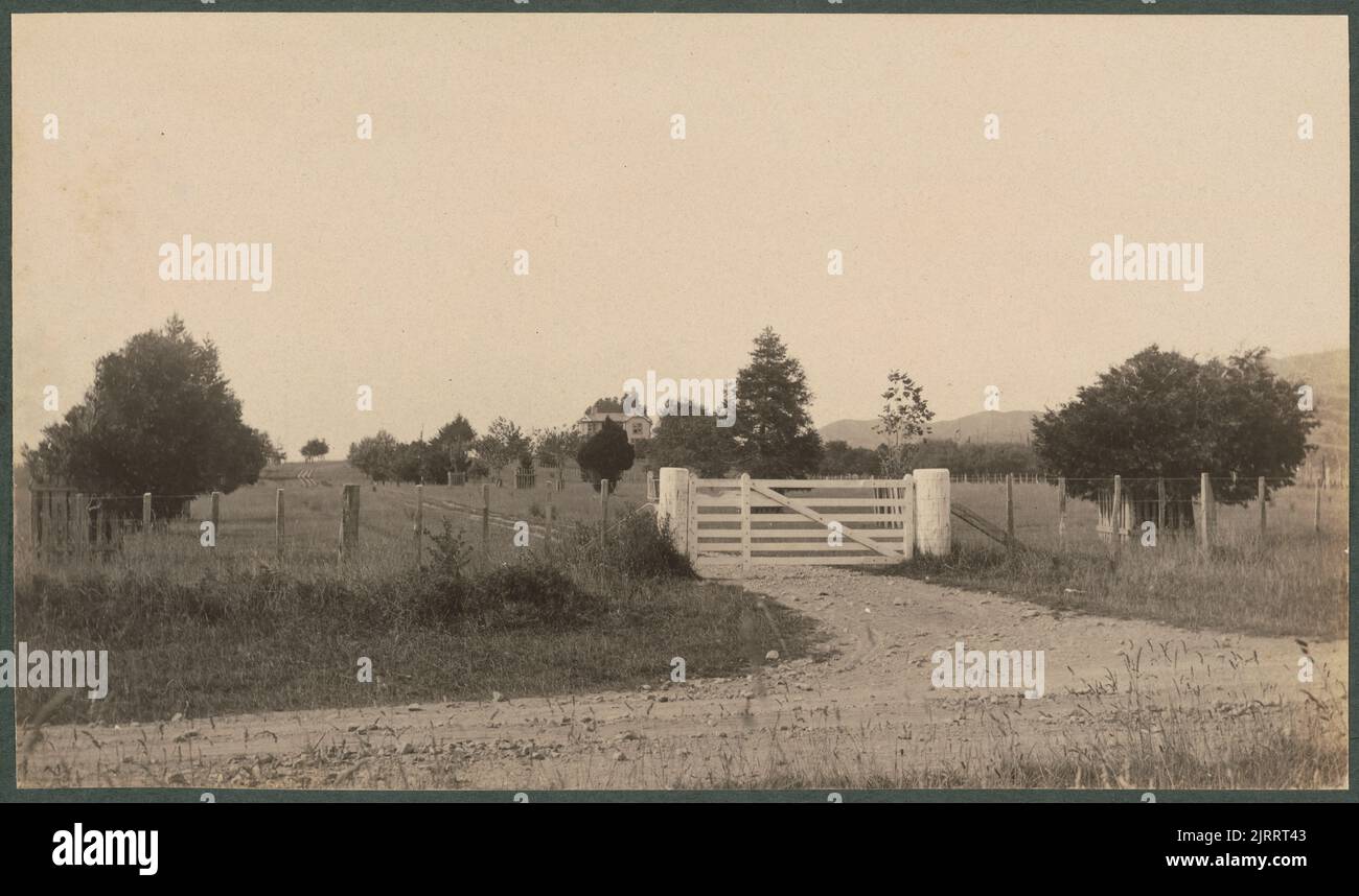 Entrance gate and drive from queen street from the album hi-res stock ...