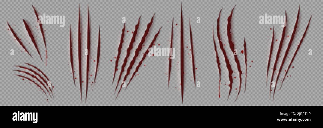 Blood scratches of wild animal claws, red scary talons marks isolated on transparent background ...