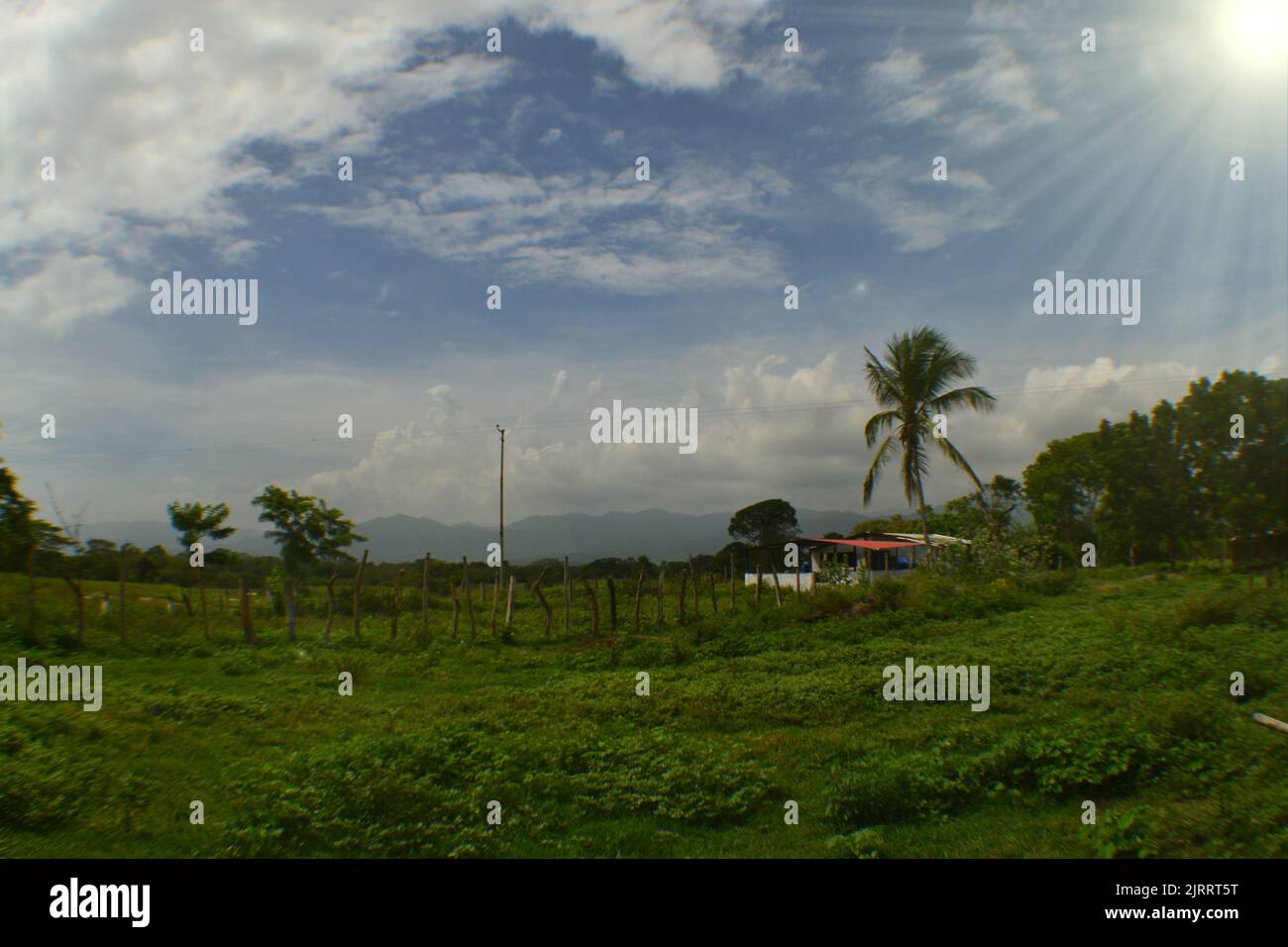 An aerial view of greenery field surrounded by trees under shining sun ...