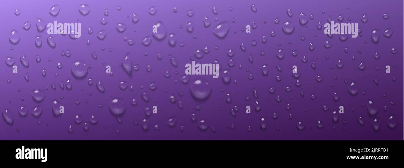 Condensation water drops on purple horizontal background. Rain droplets ...