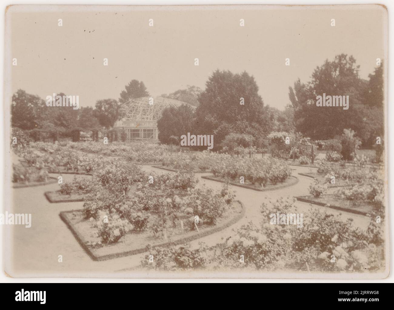 [Public Gardens, Christchurch]., 1920s to 1930s, New Zealand, by Roland Searle Stock Photo - Alamy