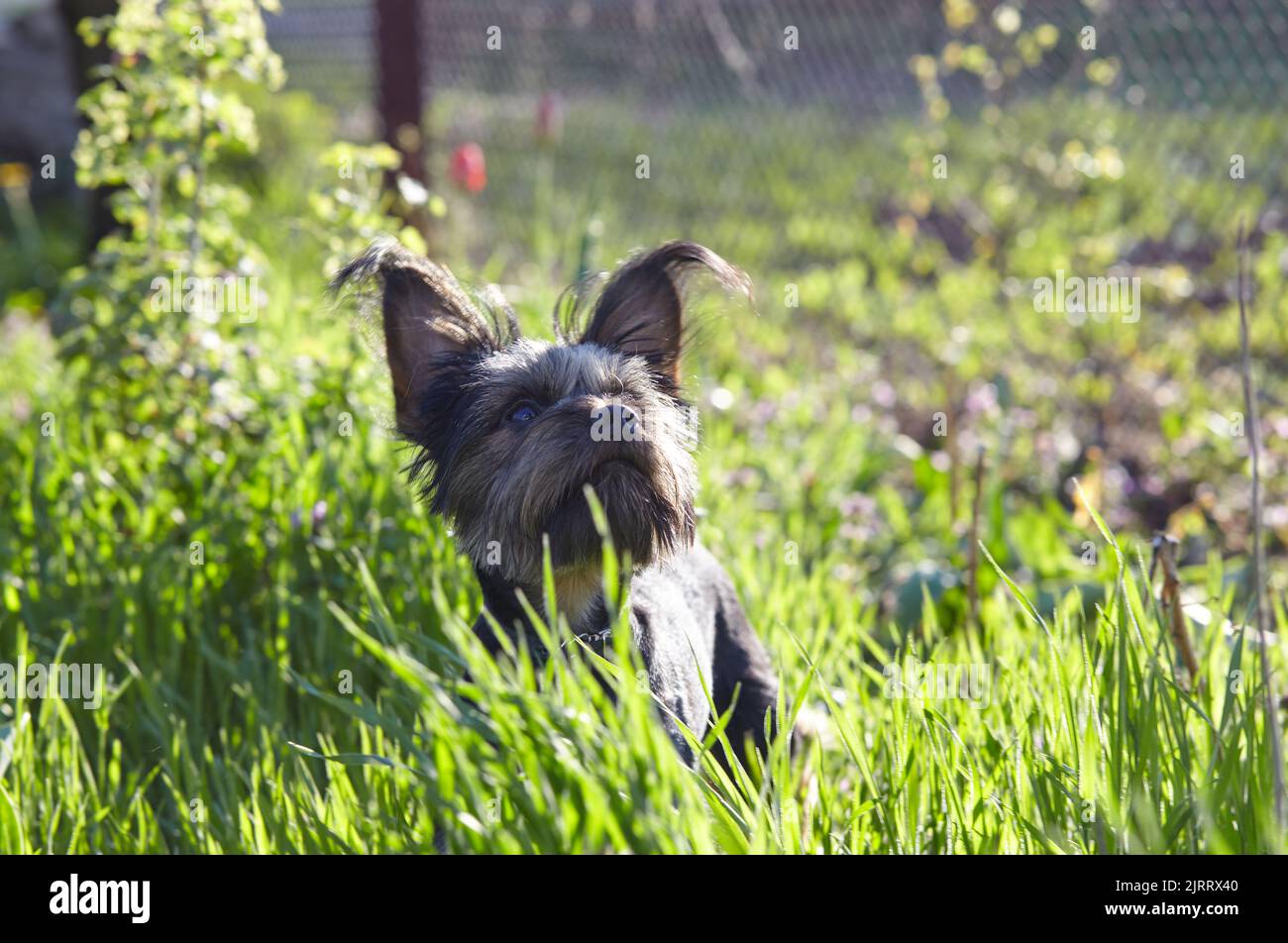 Nice charming hi-res stock photography and images - Alamy