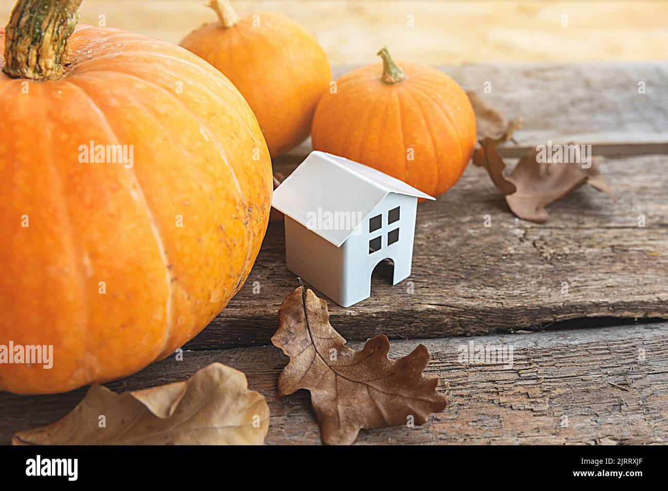 Autumnal Background. Toy house and pumpkin on wooden background ...