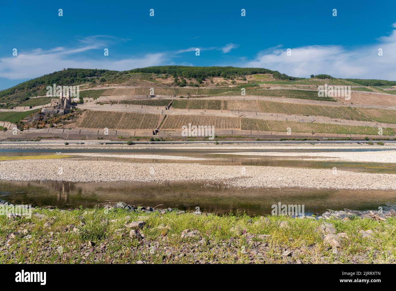 Rhine at extremely low water levels in the drought summer of 2022 ...