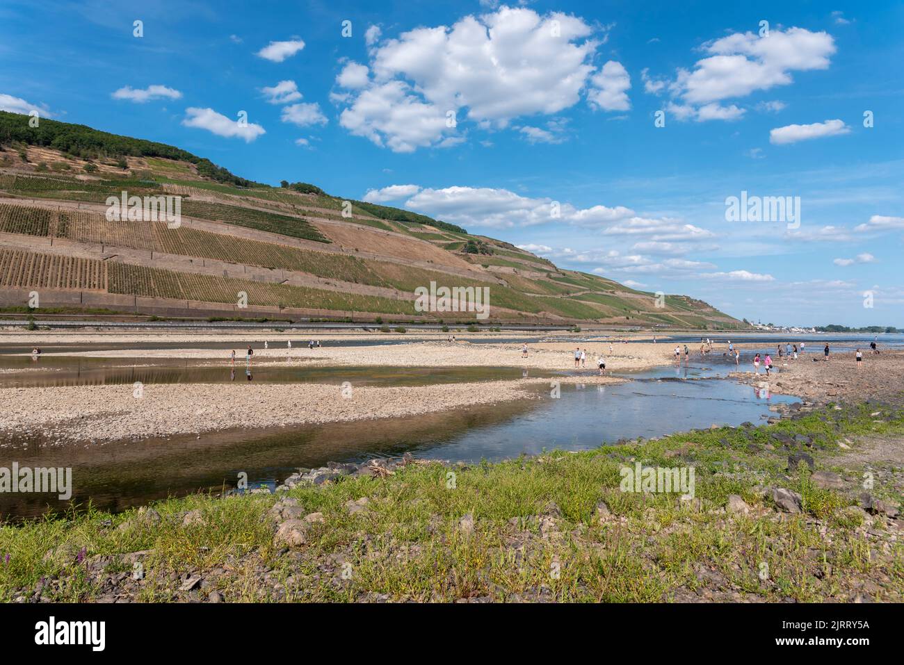 Rhine at extremely low water levels in the drought summer of 2022 ...