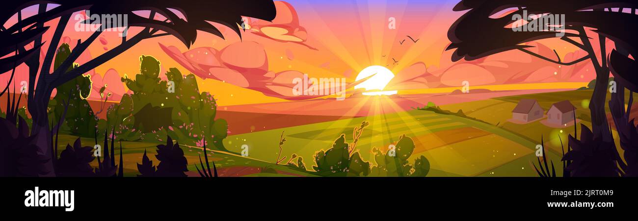 Sunset in wild flower field Stock Vector Images - Alamy