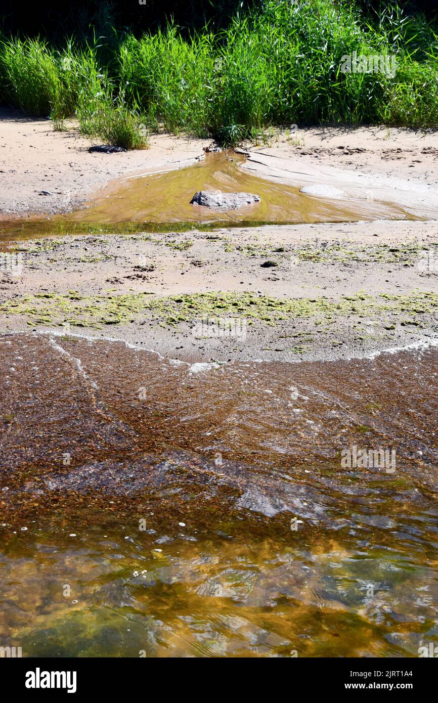 A vertical shot of siltation of the river bottom on the sandy beach ...