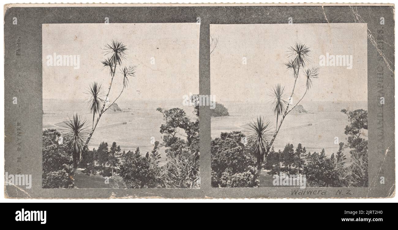 View new zealand sea Cut Out Stock Images & Pictures - Alamy