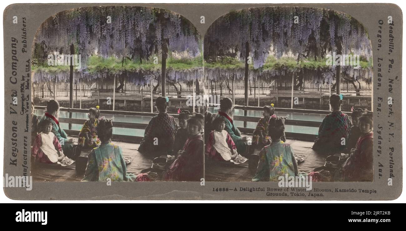 Company grounds Cut Out Stock Images & Pictures - Alamy