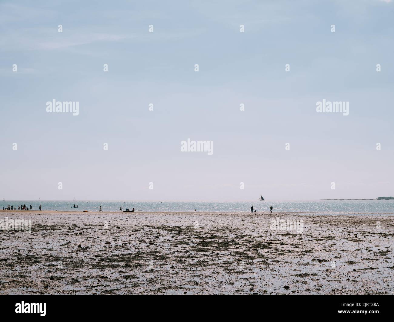 The low tide summer beach seaside landscape with people at West Mersea ...