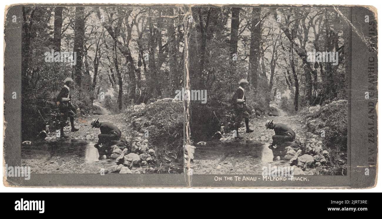 On the Te Anau - Milford track, circa 1900-1916, Milford Sound, by George Crombie Stock Photo ...