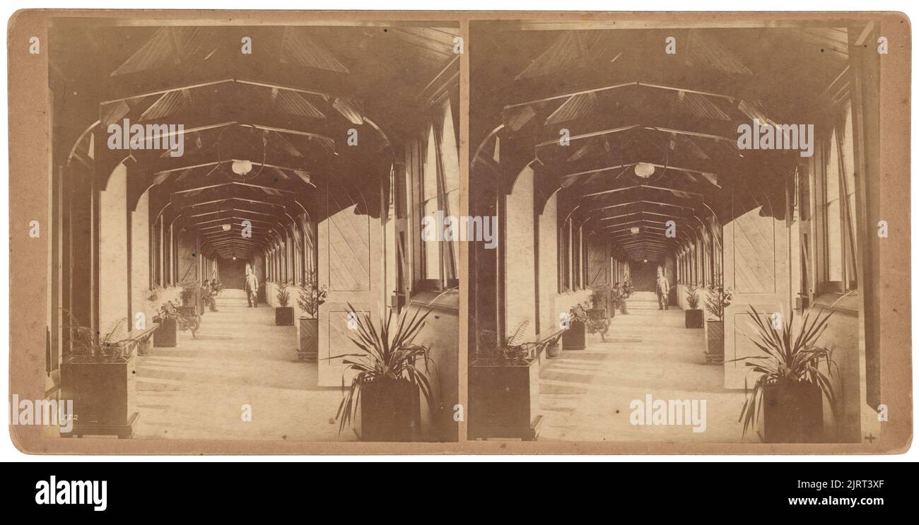 The Hospital, Christchurch, 1880s, Dunedin, by Burton Brothers Stock ...