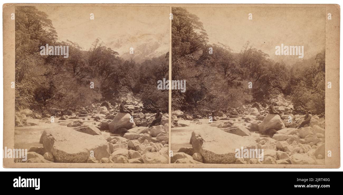 On the Arthur River, 1888, Fiordland National Park, by Burton Brothers ...