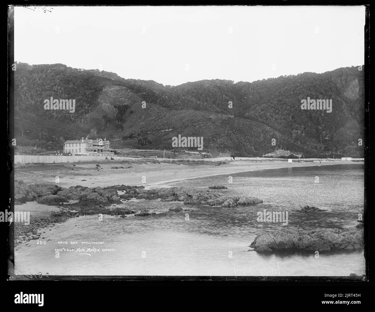 Days Bay, Wellington, Dunedin, by Muir & Moodie Stock Photo - Alamy