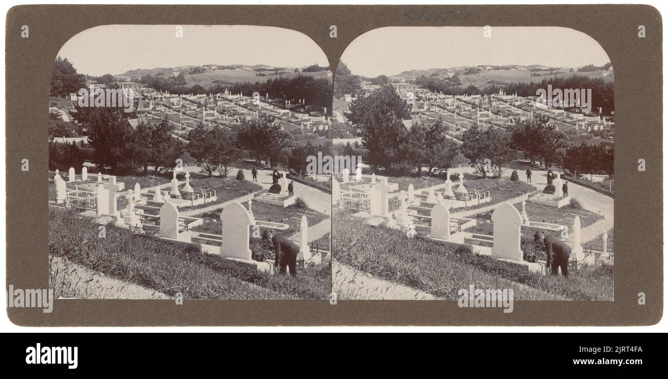 Karori cemetery, circa 1906, Wellington, maker unknown Stock Photo - Alamy