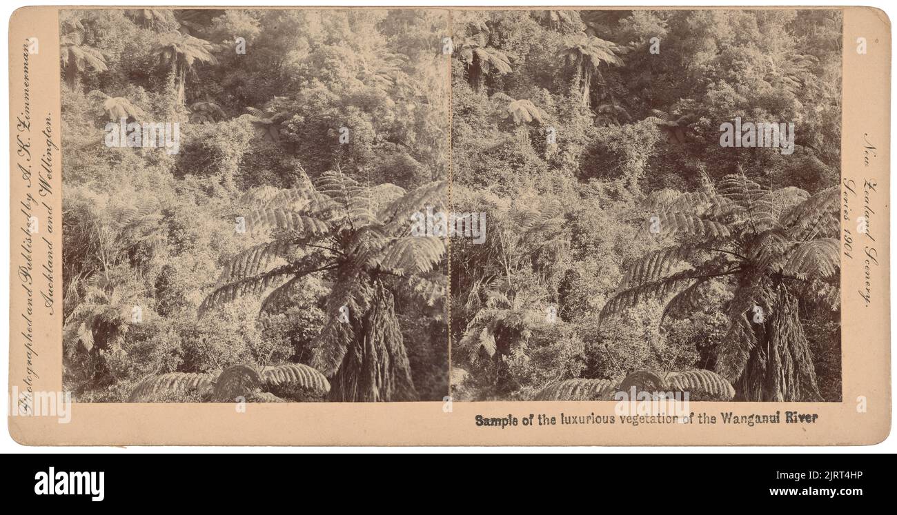 Whanganui river Cut Out Stock Images & Pictures - Alamy