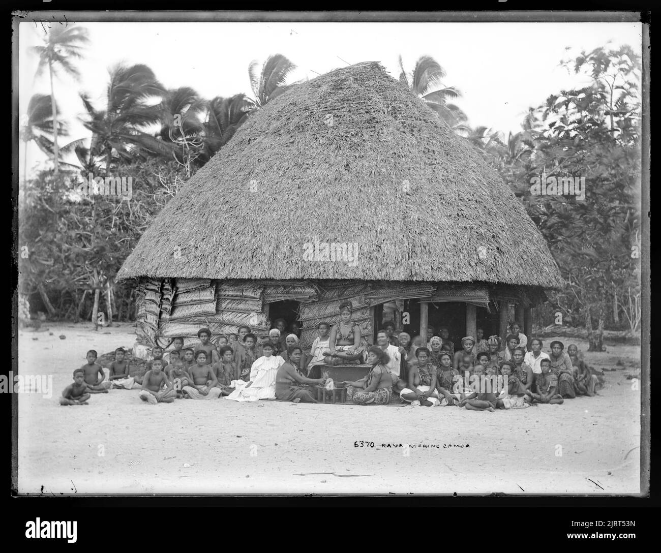 Kava making, Samoa, Dunedin, by Muir & Moodie Stock Photo - Alamy