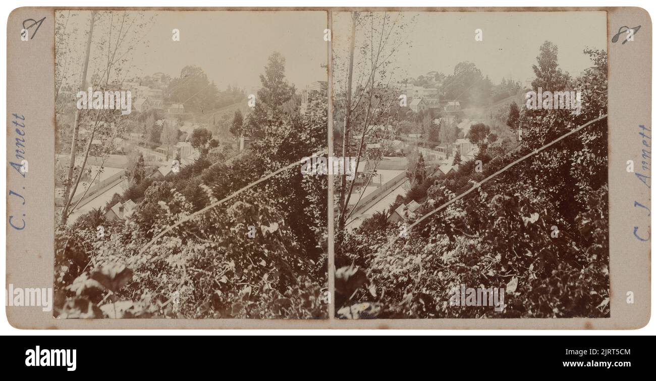 Town scene from bushy hill, circa 1880-1900, New Zealand, by Charles ...