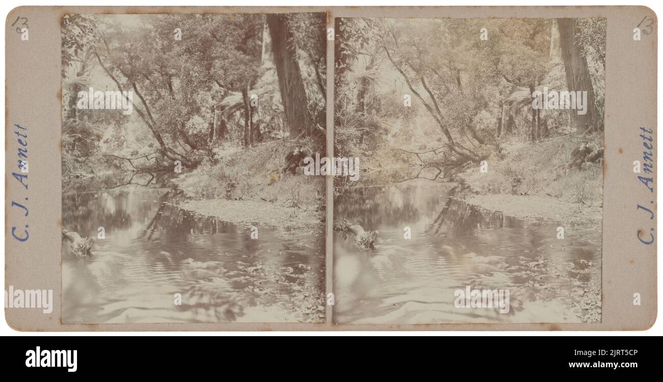 Geothermal new zealand Cut Out Stock Images & Pictures - Alamy