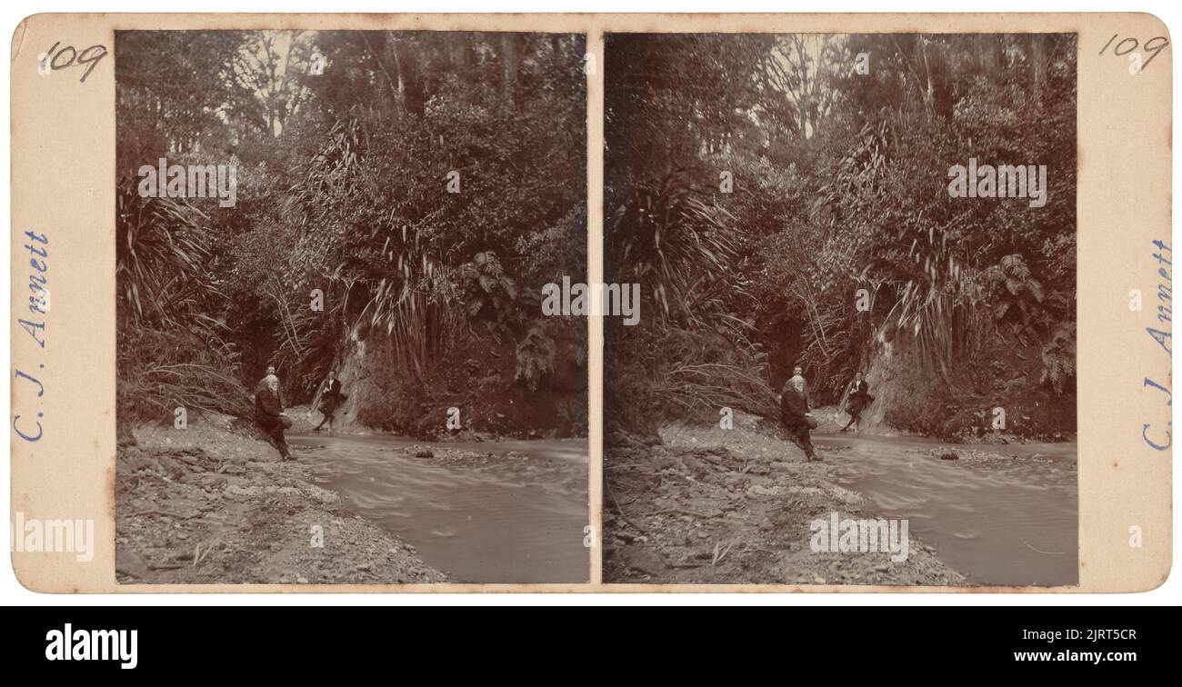 Bushland vegetation Cut Out Stock Images & Pictures - Alamy