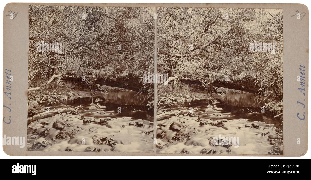James bush Cut Out Stock Images & Pictures - Alamy