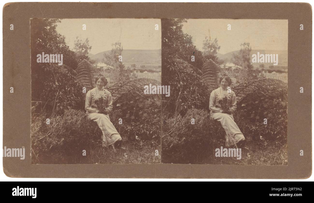 Early new zealand Cut Out Stock Images & Pictures - Alamy