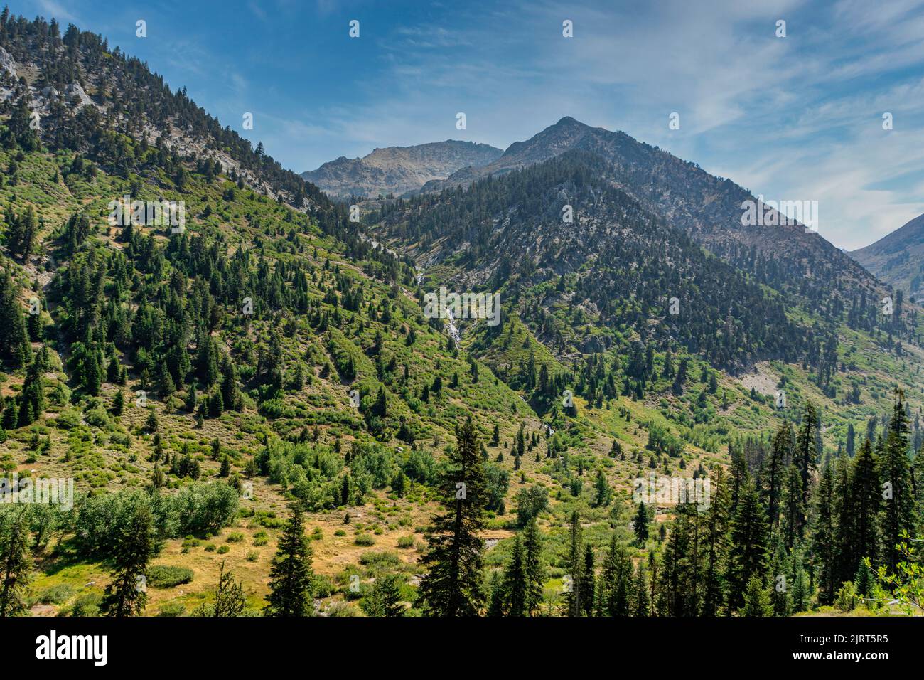 A majestic shot of a densely forested layered mountain range in Sequoia ...