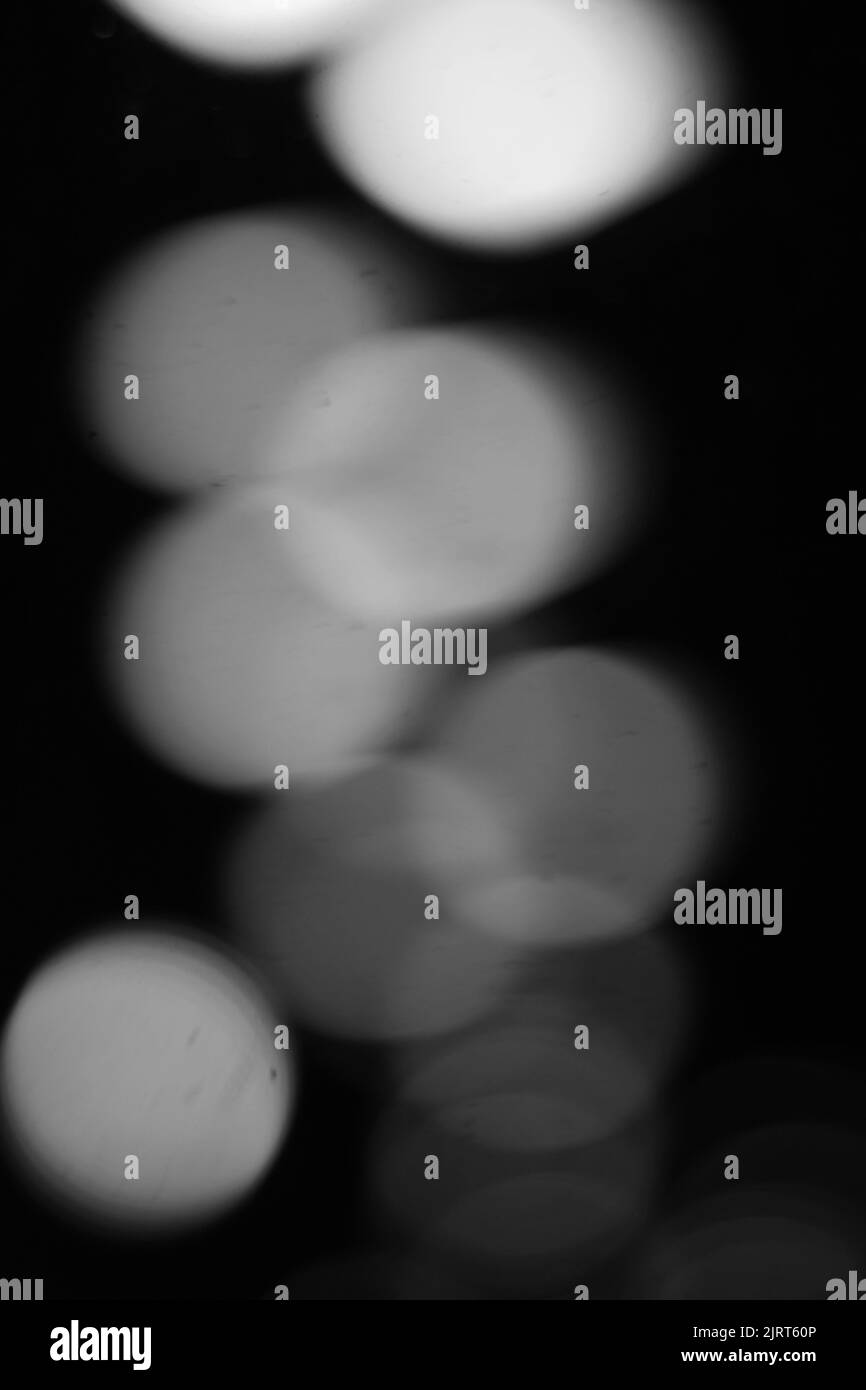 Dreamy blurry abstract bokeh circles floating around the air in a black and white monochrome ...