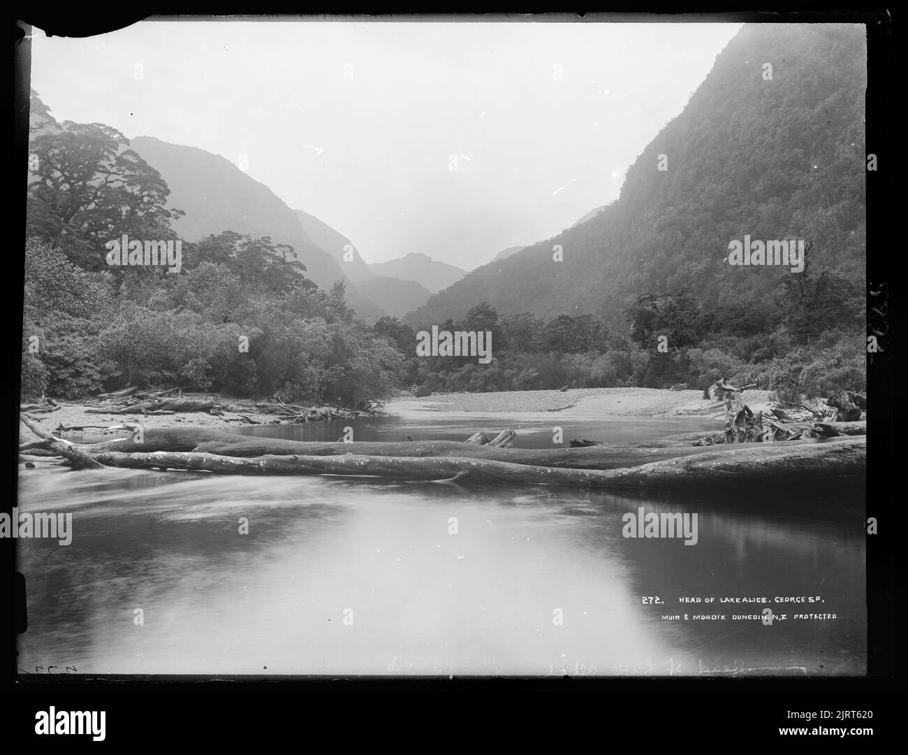 George sound head of lake alice hi-res stock photography and images - Alamy