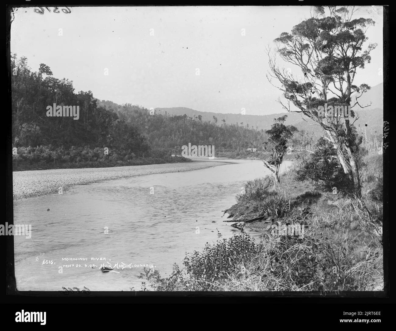 Mokihinui River, New Zealand, by Muir & Moodie Stock Photo - Alamy