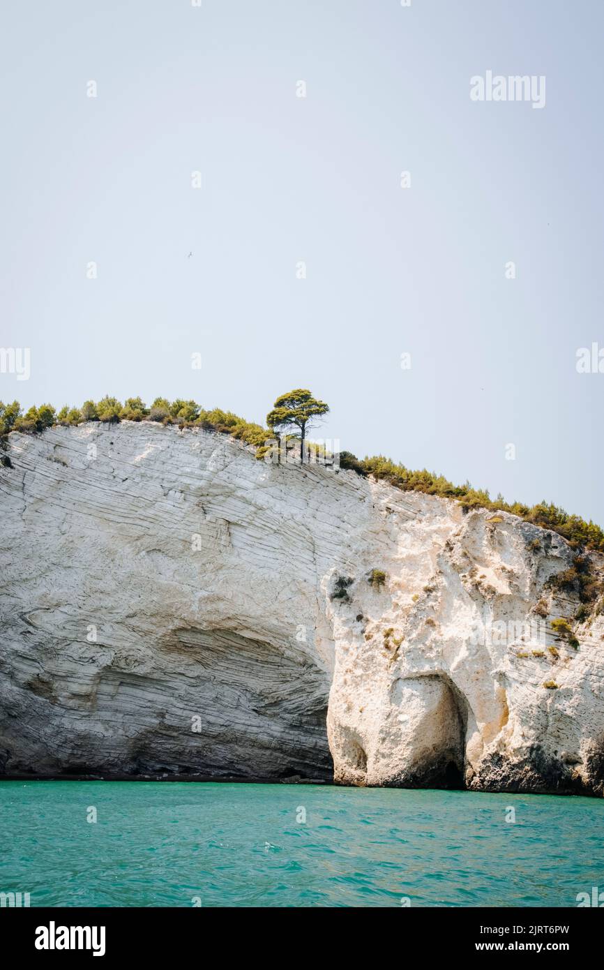 Tall white cliff hi-res stock photography and images - Alamy