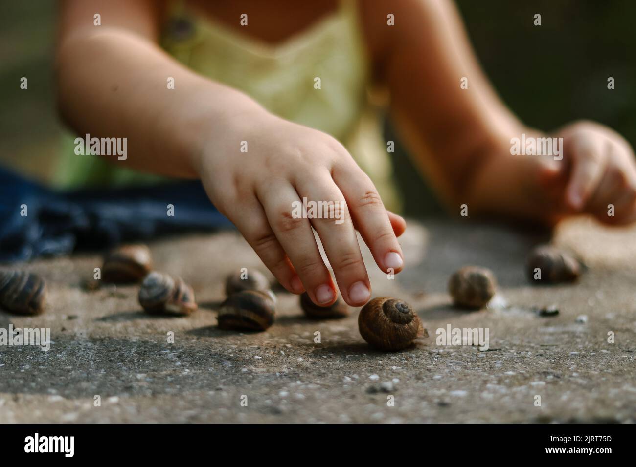 Moments of childhood. The child holds snails in his hands. Copy space ...