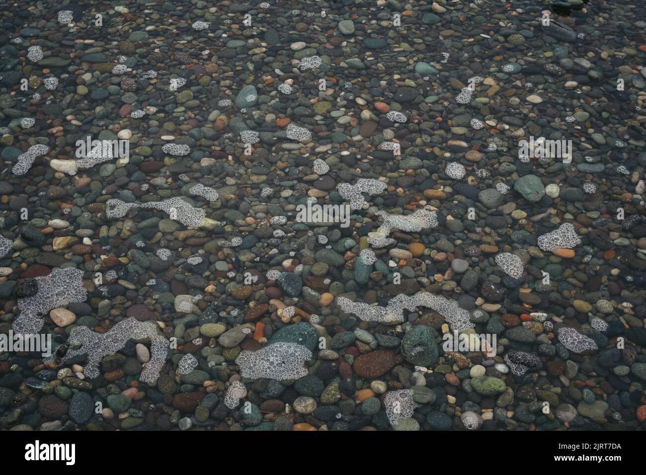 Pebble beach flooded with water after high tide, natural rounded gravel ...