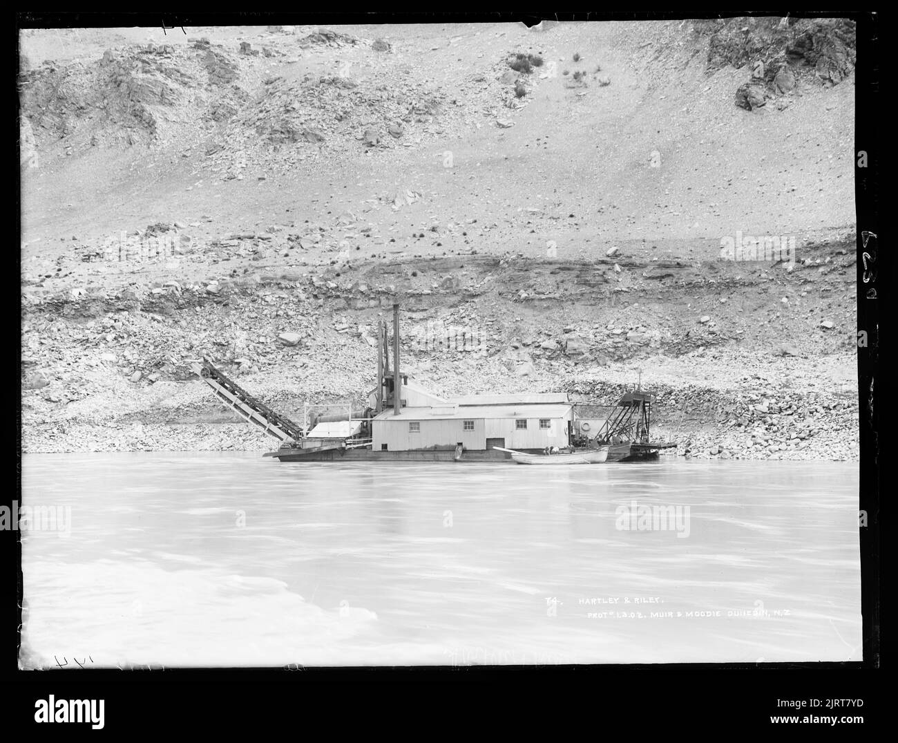 Riley muir hi-res stock photography and images - Alamy