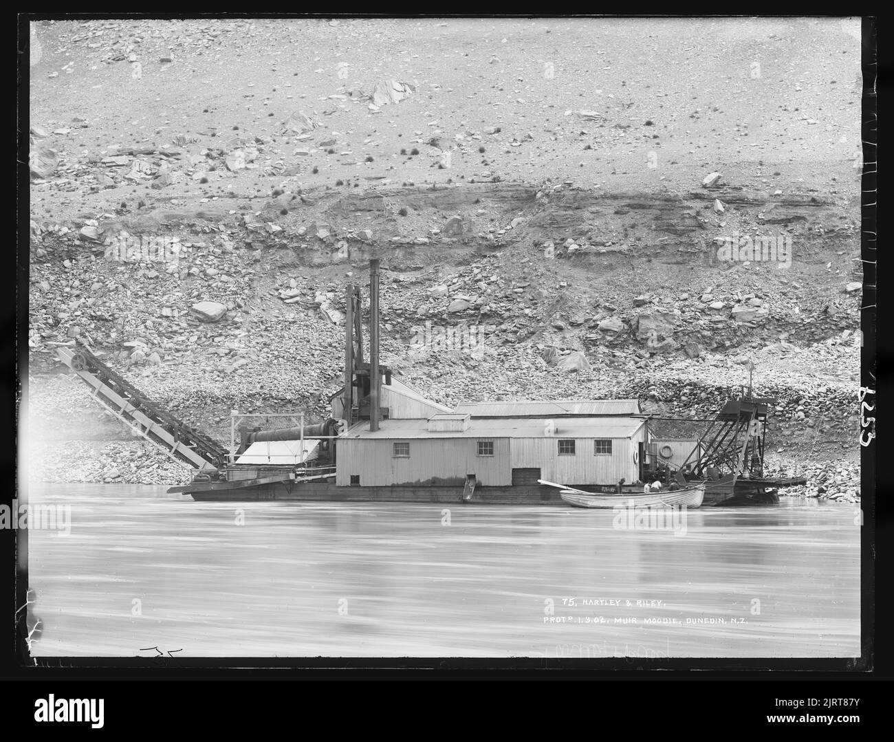 Riley muir hi-res stock photography and images - Alamy