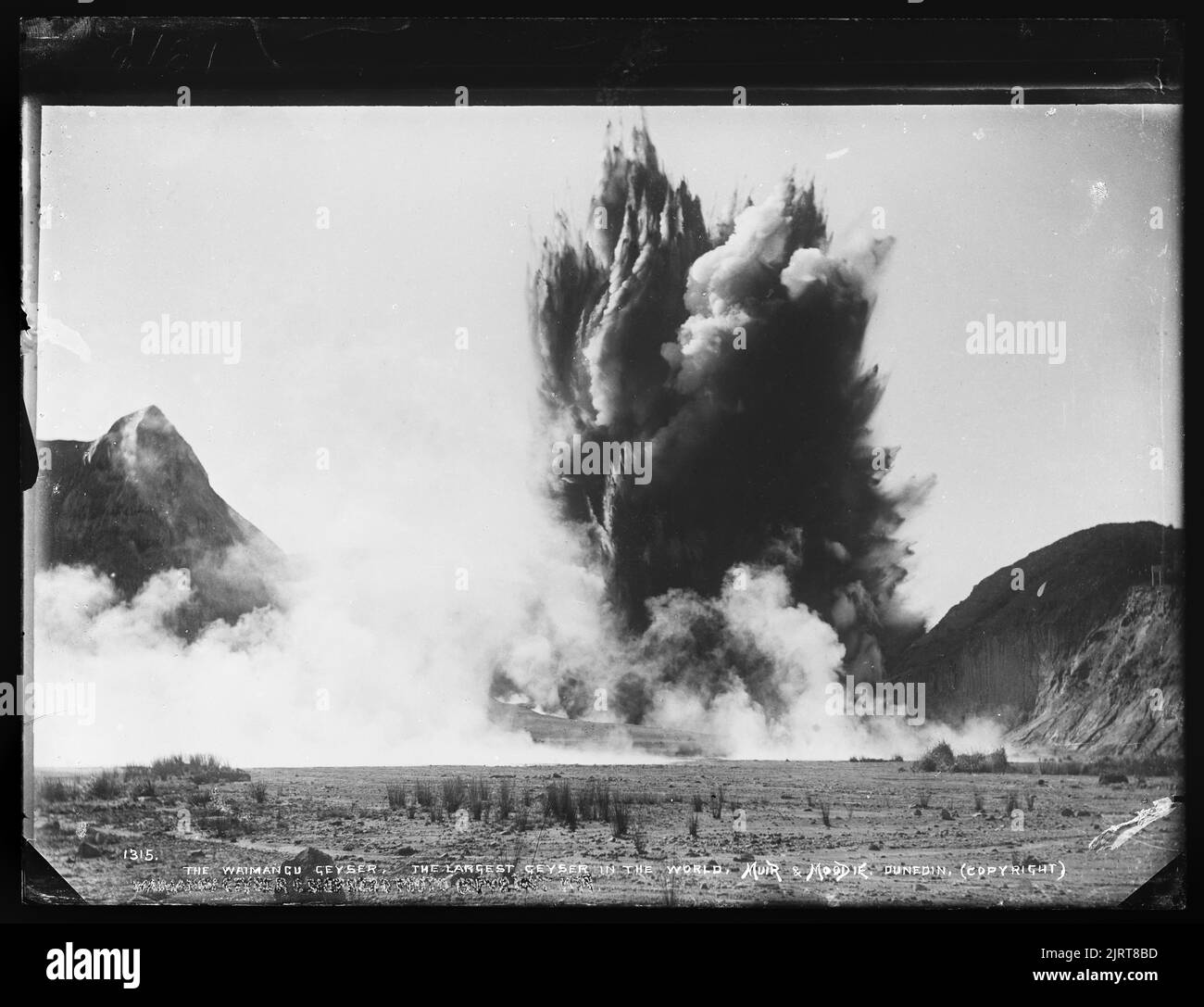 The Waimangu Geyser, the largest geyser in the world, 1903, New Zealand ...