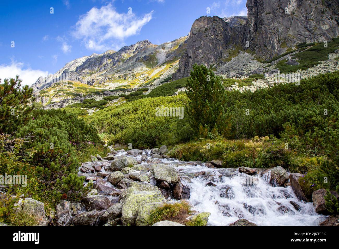 Mlynica stream, near by waterfall Skok Vysoke Tatry (High Tatras ...