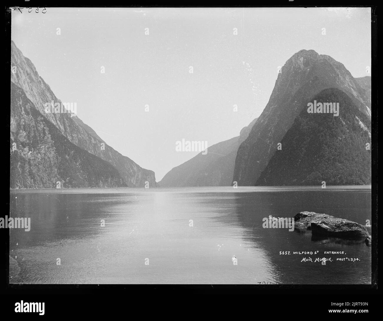 Milford Sound entrance, 1904, Dunedin, by Muir & Moodie Stock Photo - Alamy
