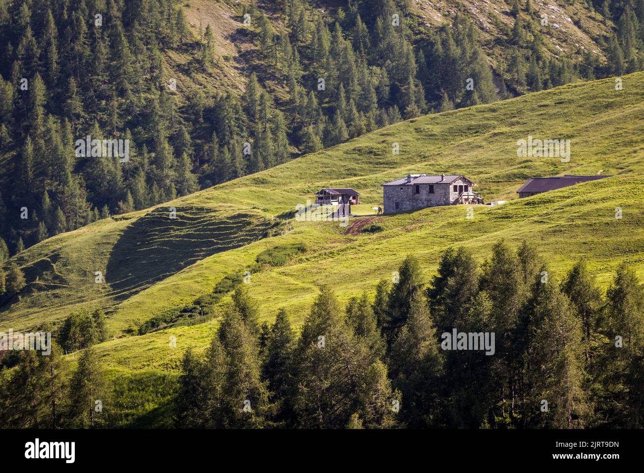 Beautiful day hi hi-res stock photography and images - Alamy