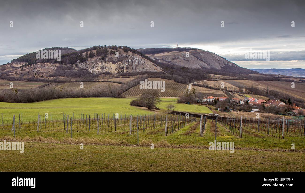 Wine region southern moravia czech republic europe hi-res stock ...