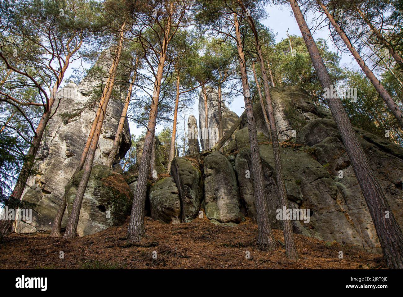 Adrspach Teplice rocks national park, Czech Republic (way to Cross hill ...