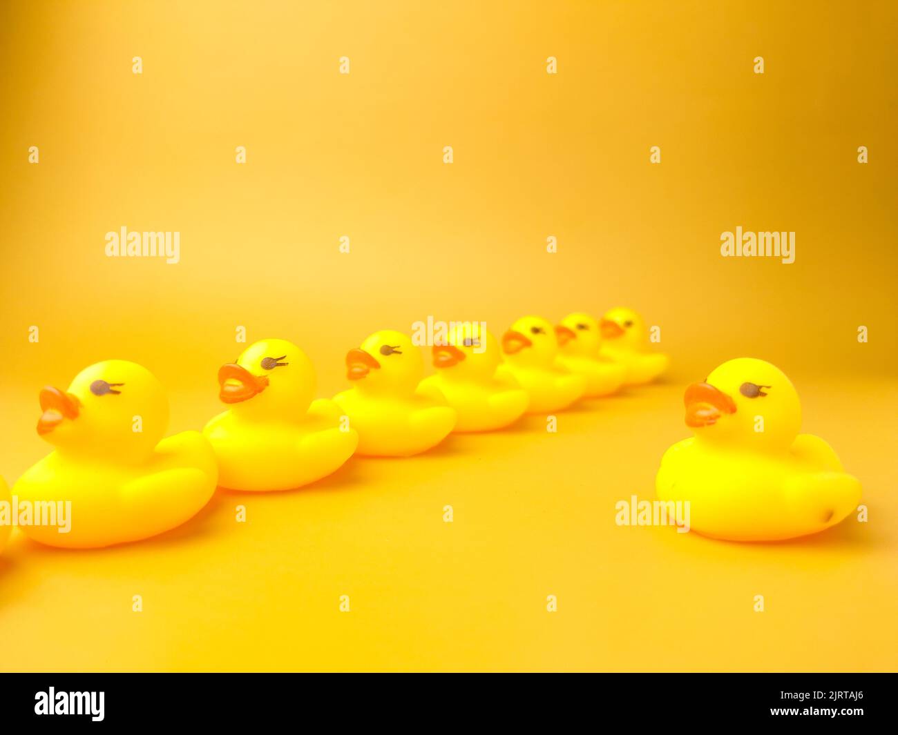 A closeup of a group of rubber ducks with a leader isolated on yellow ...