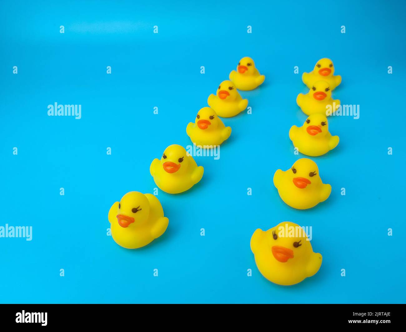 A group of rubber ducks isolated on a blue background- teamwork concept ...