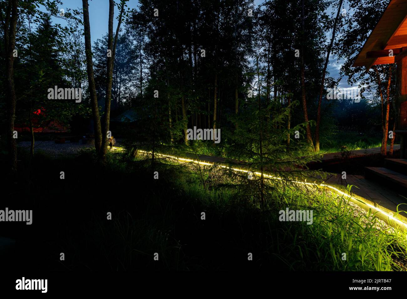 Night lights at the glamping in the forest Stock Photo - Alamy