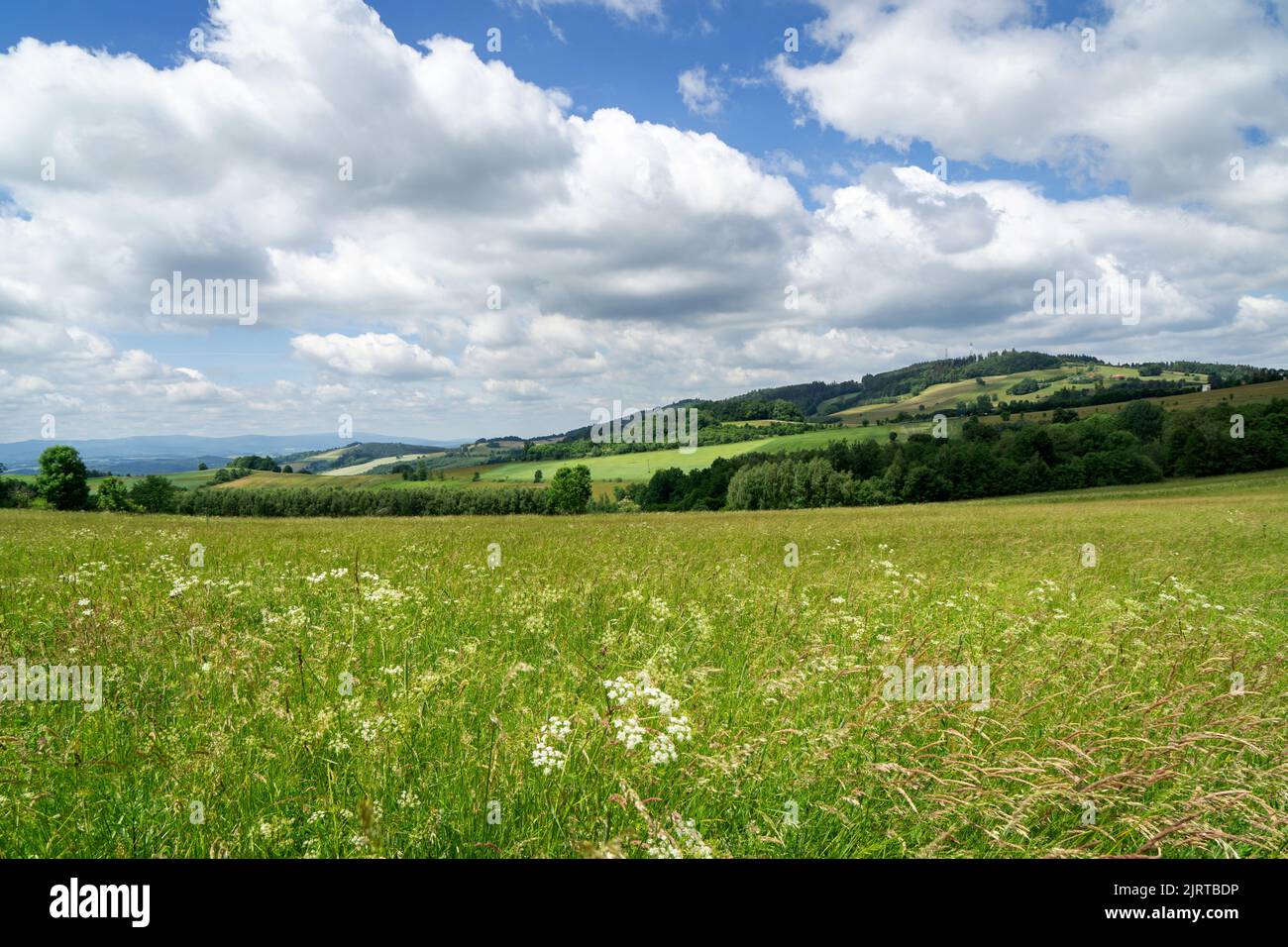 Meadow fields summer sky hi-res stock photography and images - Alamy