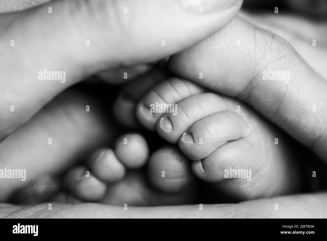 Children's feet in hold hands of mother. Mother, father and newborn ...