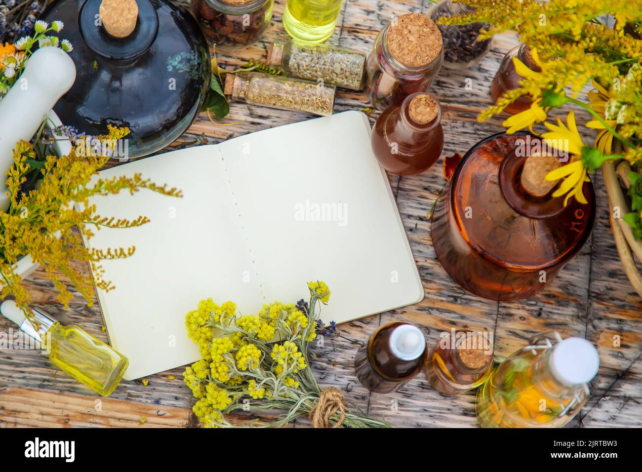 Medicinal herbs on the table. Place for notepad text. Selective focus ...